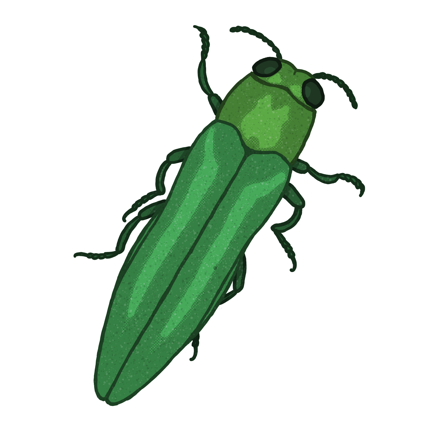 Insects vs plants | Biocommunication Group